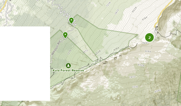 Best Trails in Kula Forest Reserve - Maui, Hawaii | AllTrails