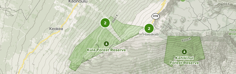 Best Trails in Kula Forest Reserve - Maui, Hawaii | AllTrails