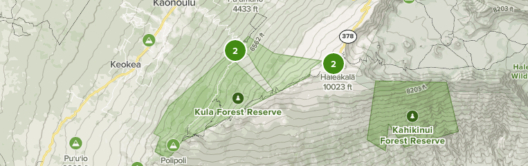 Best trails in Kula Forest Reserve, Maui, Hawaii | AllTrails