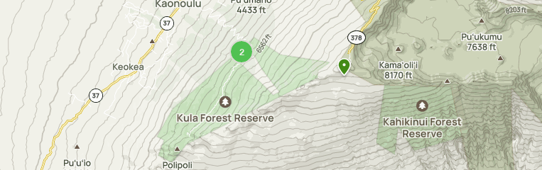 Best Hikes and Trails in Kula Forest Reserve | AllTrails