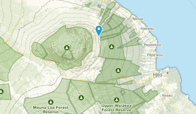 Best Trails in Hilo Forest Reserve - Hawaii, Hawaii | AllTrails