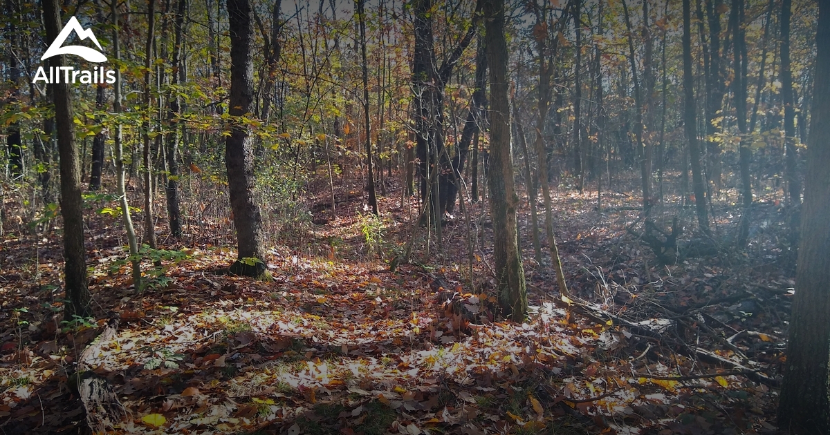 Die Besten Kinderfreundlichen Routen in Dead Man's Hollow Conservation ...