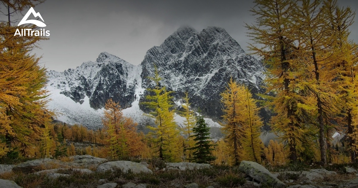 Best hikes and trails in Monica Meadows Recreation Site | AllTrails