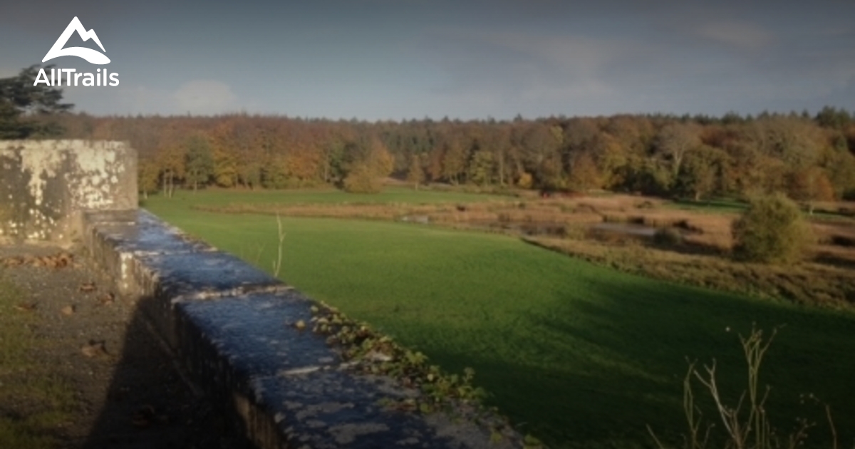 Best Trails in Curraghchase Forest Park - County Limerick, Ireland ...