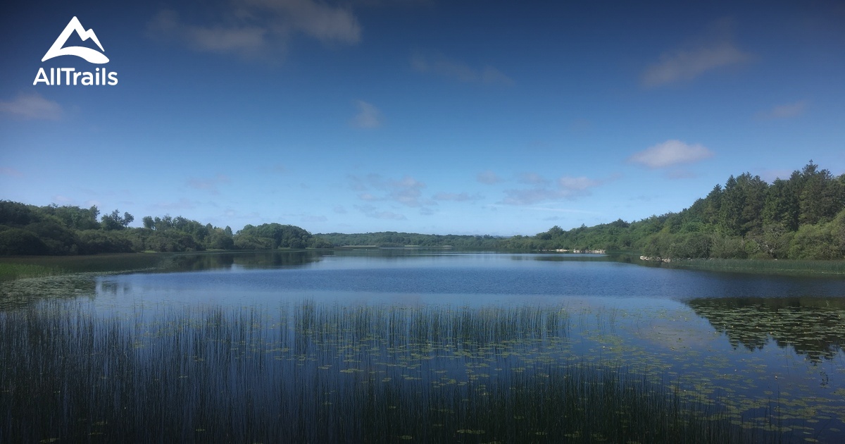 Best river trails in Dromore Wood | AllTrails