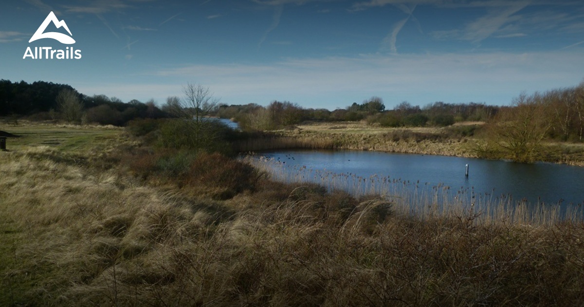 Amsterdamse Waterleidingduinen: de 10 beste routes om te wandelen ...
