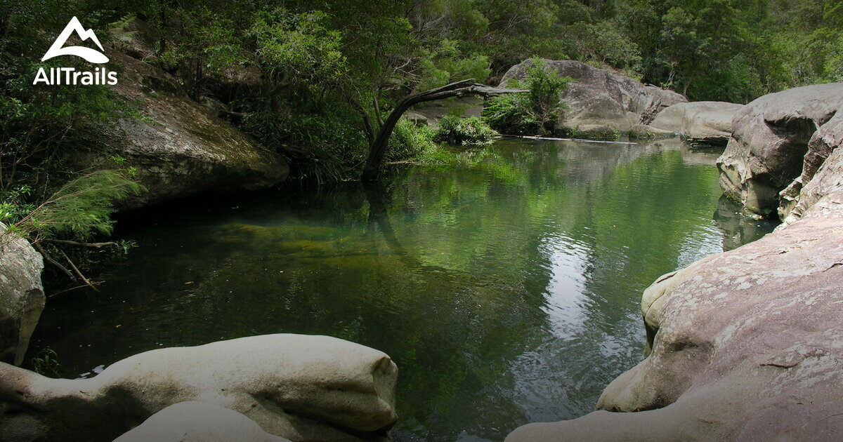 Best hikes and trails in Berowra Valley Regional Park | AllTrails