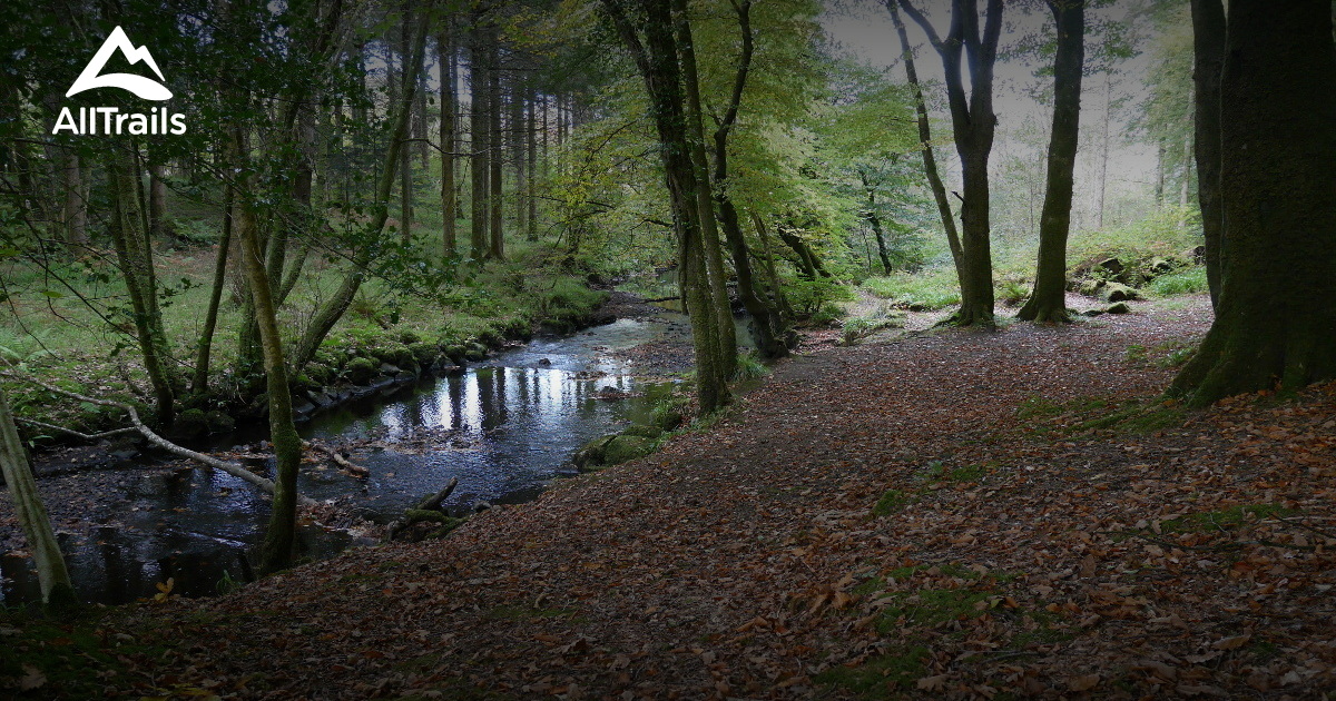 Best hikes and trails in Slishwood Forest | AllTrails