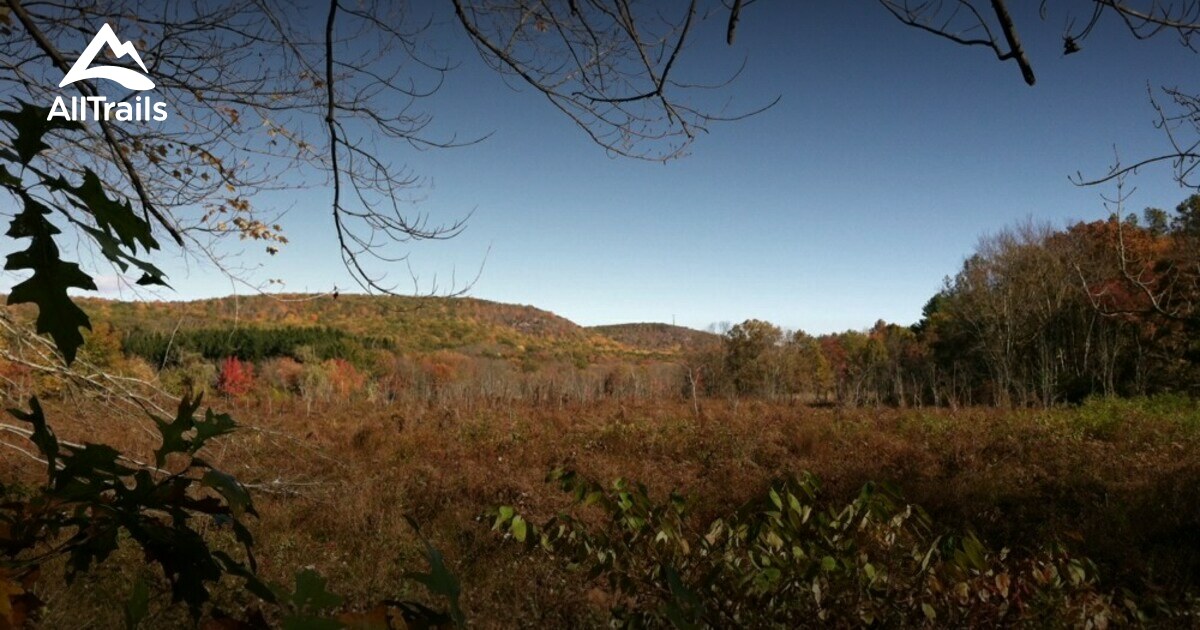 Best easy trails in Jonathan's Woods | AllTrails