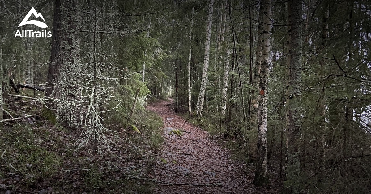 Melhores trilhos para observação de aves em Balesudden Nature Reserve ...