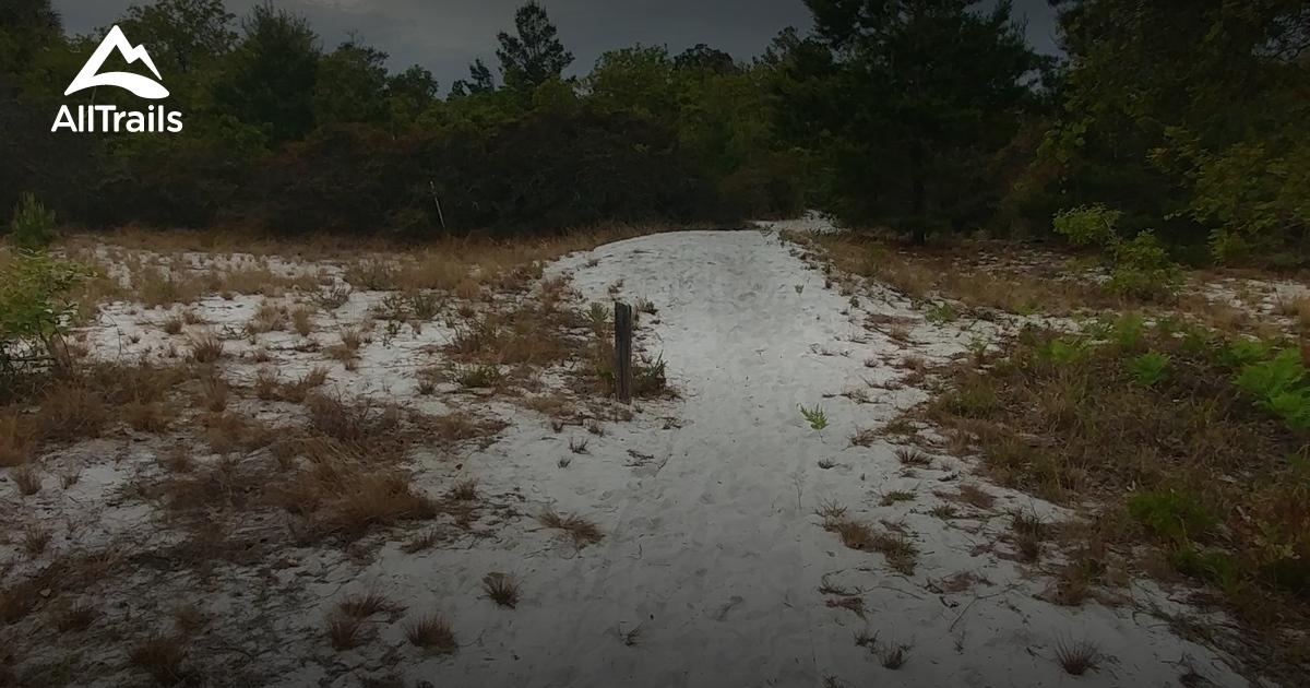 Best hikes and trails in Indrio Scrub Preserve | AllTrails