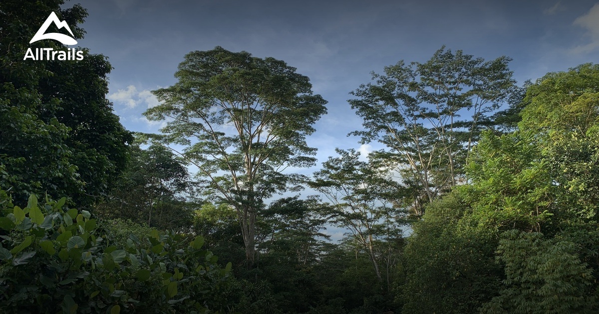 10 Best hikes and trails in Chestnut Nature Park | AllTrails