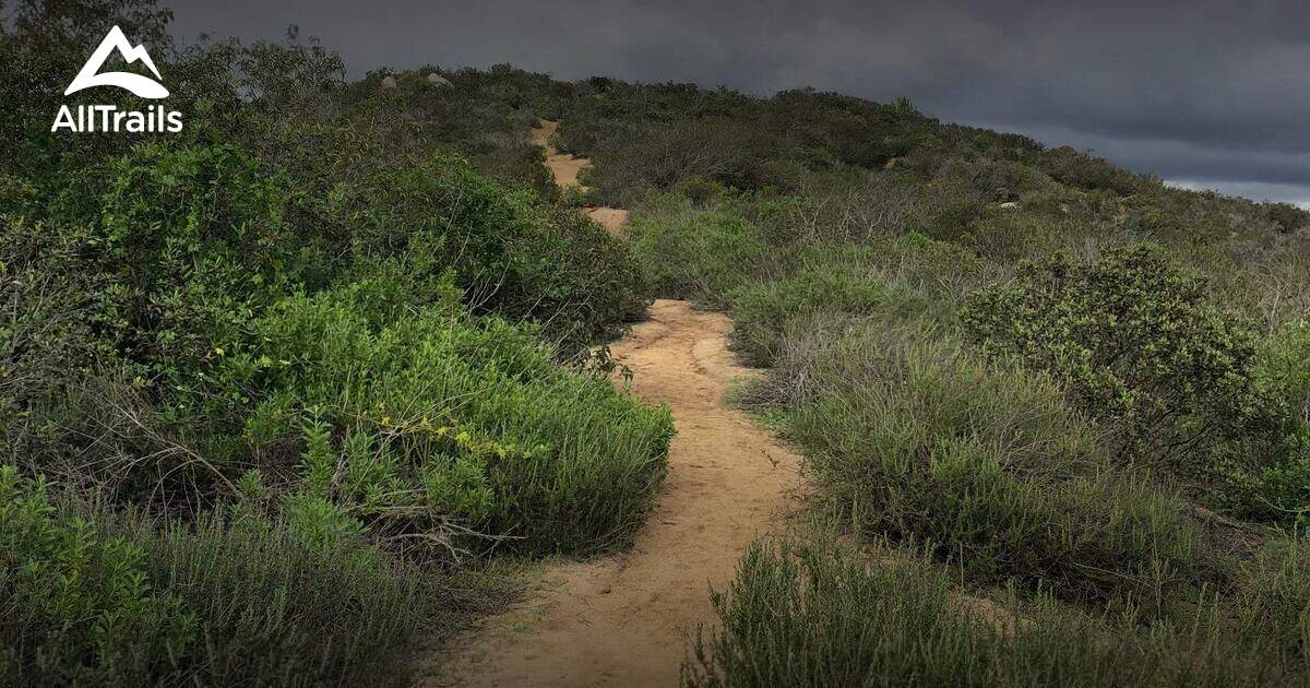 Best hikes and trails in Buena Vista Park Pond and Open Space | AllTrails