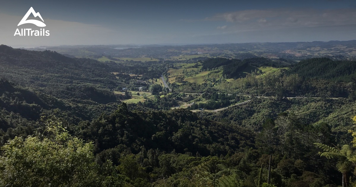 Best walking trails in Dome Forest Conservation Area | AllTrails