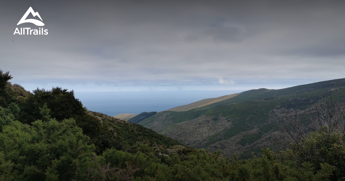 Best Trails in Hinewai Reserve - Canterbury, New Zealand | AllTrails
