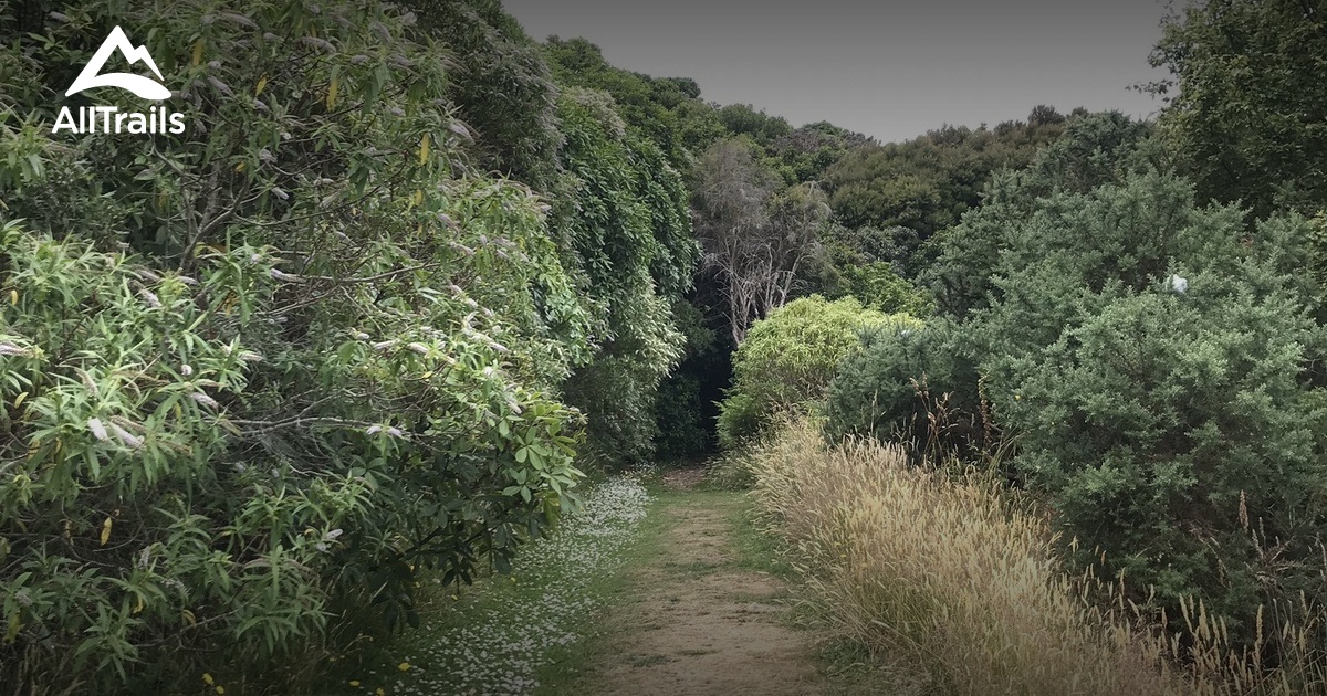 10 Best hikes and trails in Hinewai Reserve | AllTrails
