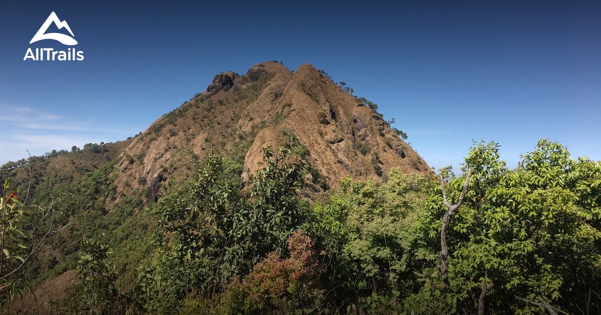 Best forest trails in Namtok Mae Surin National Park | AllTrails
