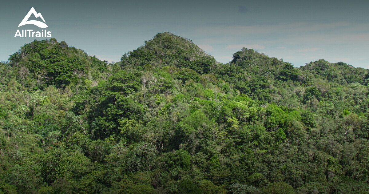 Best hikes and trails in State Forest of Guajataca | AllTrails