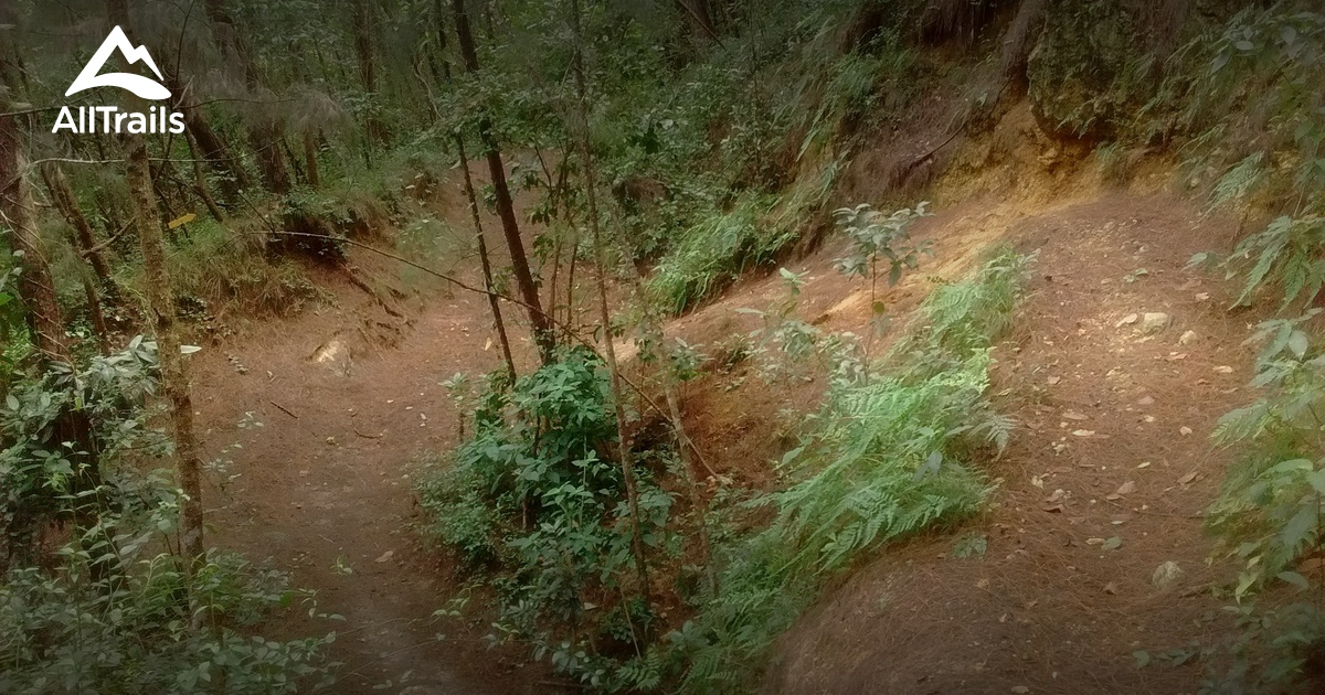 Best hikes and trails in Parque Julio E. Monagas | AllTrails