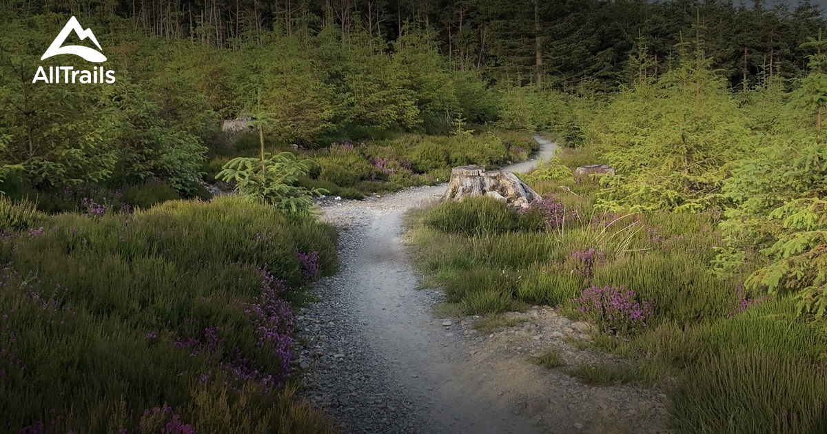 Best Trails in Ballinastoe Wood - County Wicklow, Ireland | AllTrails