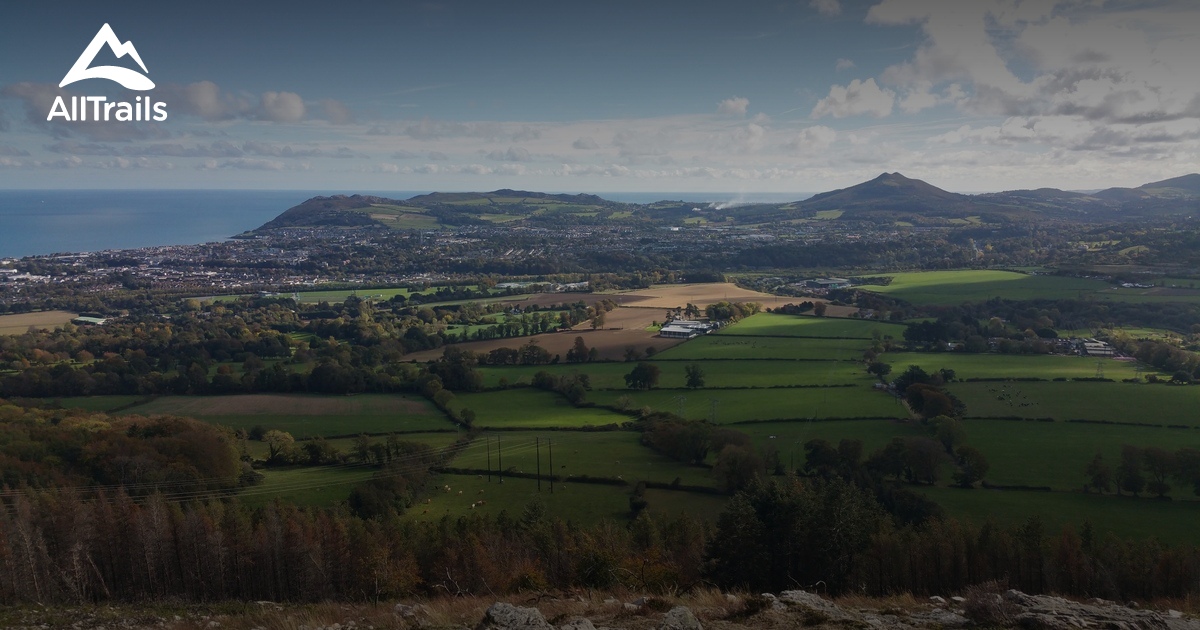 Best forest trails in Carrickgollogan Wood | AllTrails