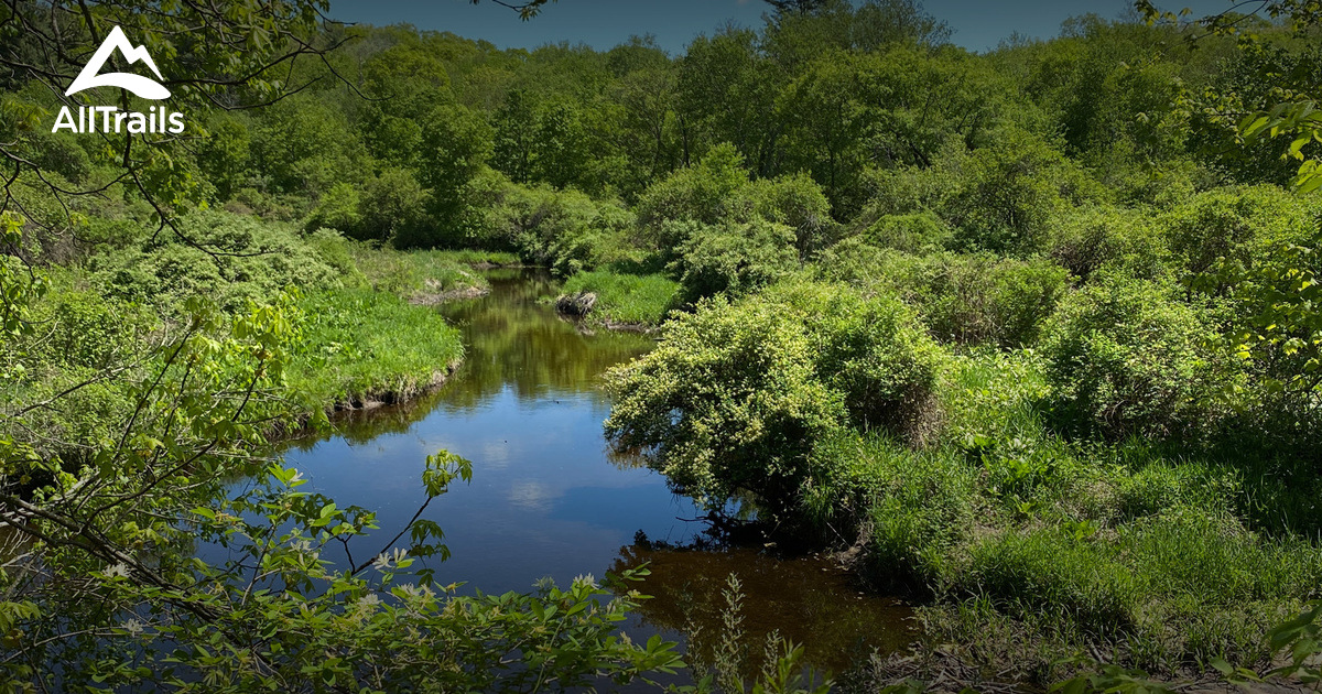 Best hikes and trails in The Nature Conservancy Rock Spring Wildlife ...