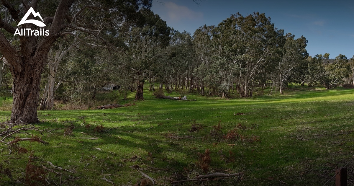 Best forest trails in Cox Scrub Conservation Park | AllTrails