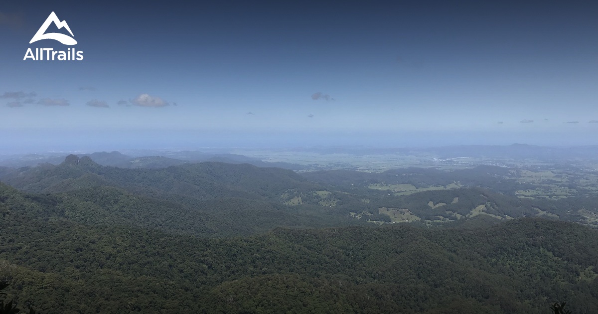 Best Trails in Numinbah Nature Reserve - Queensland, Australia | AllTrails