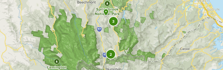 Best trails in Numinbah Nature Reserve, Queensland, Australia | AllTrails