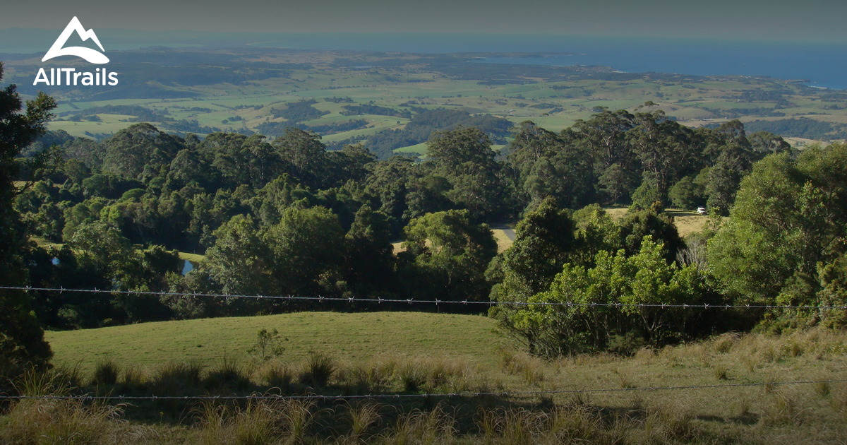 Best Trails in Saddleback Mountain Summit Park - New South Wales ...