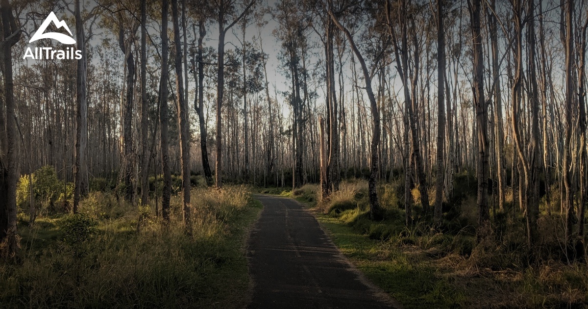 Best river trails in Boondall Wetlands | AllTrails