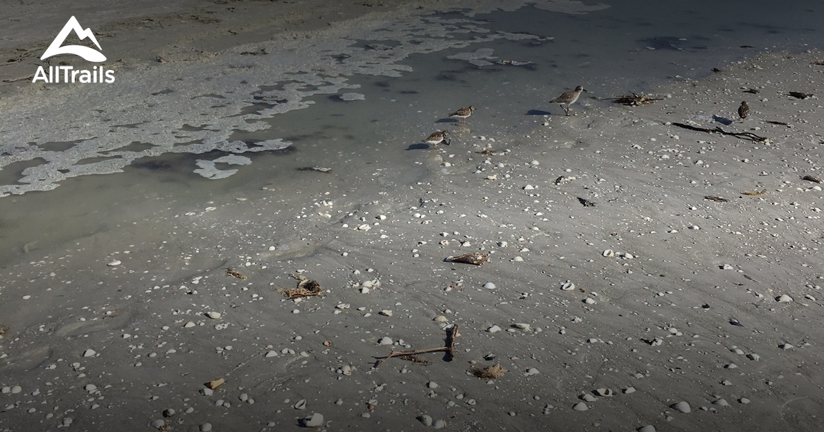 Best hikes and trails in Lighthouse Beach Park | AllTrails