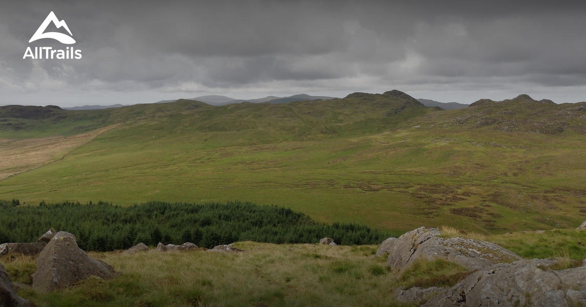 Best forest trails in Dunnerdale Forest | AllTrails