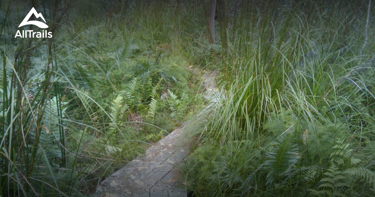 Best lake trails in Munmorah State Conservation Area | AllTrails