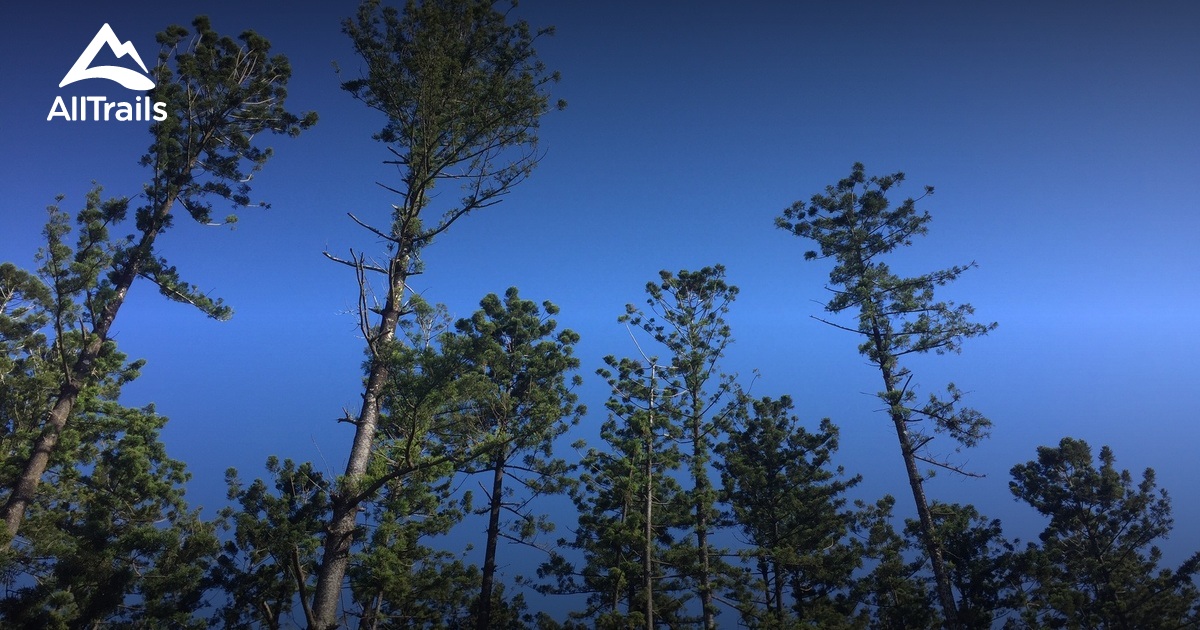 Best hikes and trails in Oxley Creek Common | AllTrails