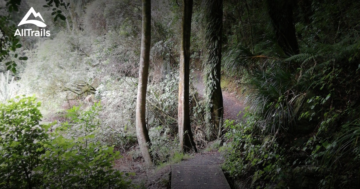 Best hikes and trails in Battle Hill Farm Forest Park | AllTrails