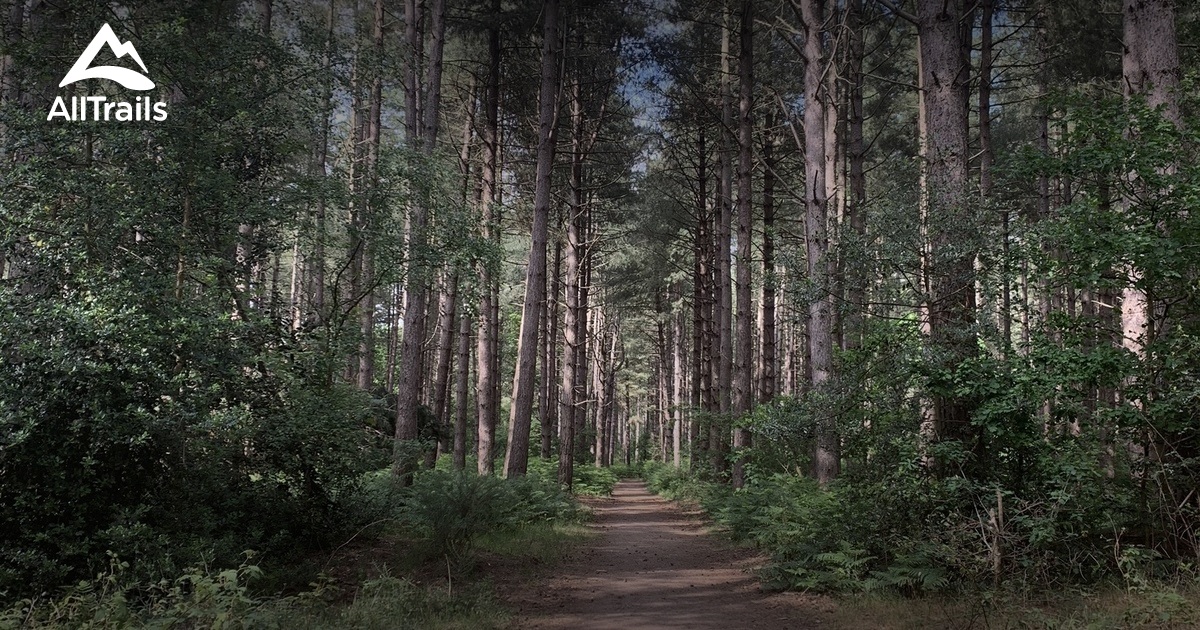 Best hikes and trails in Thetford Forest Park | AllTrails