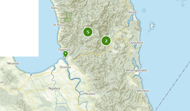 Best Trails in Coromandel Forest Park - Waikato, New Zealand | AllTrails