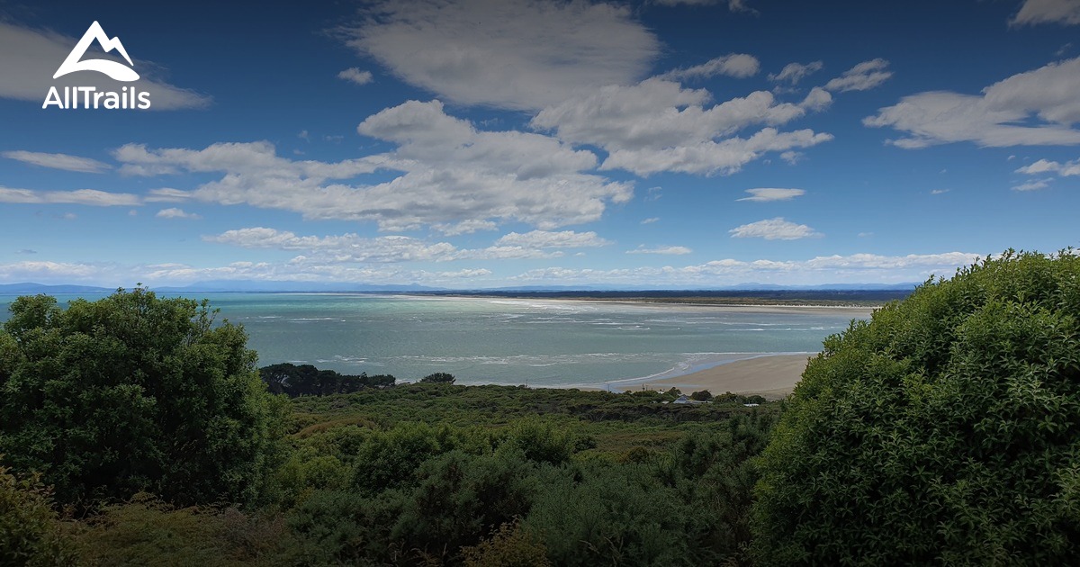 Best Hikes and Trails in Otatara Scenic Reserve | AllTrails