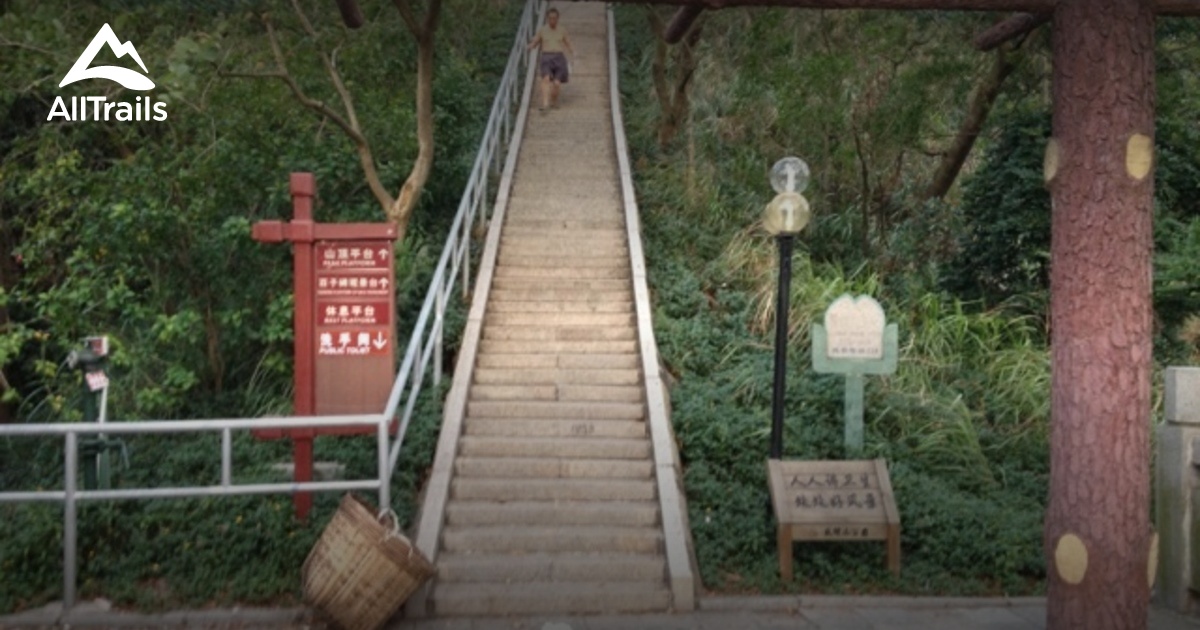 Best hikes and trails in Banzhangshan Forest Park | AllTrails