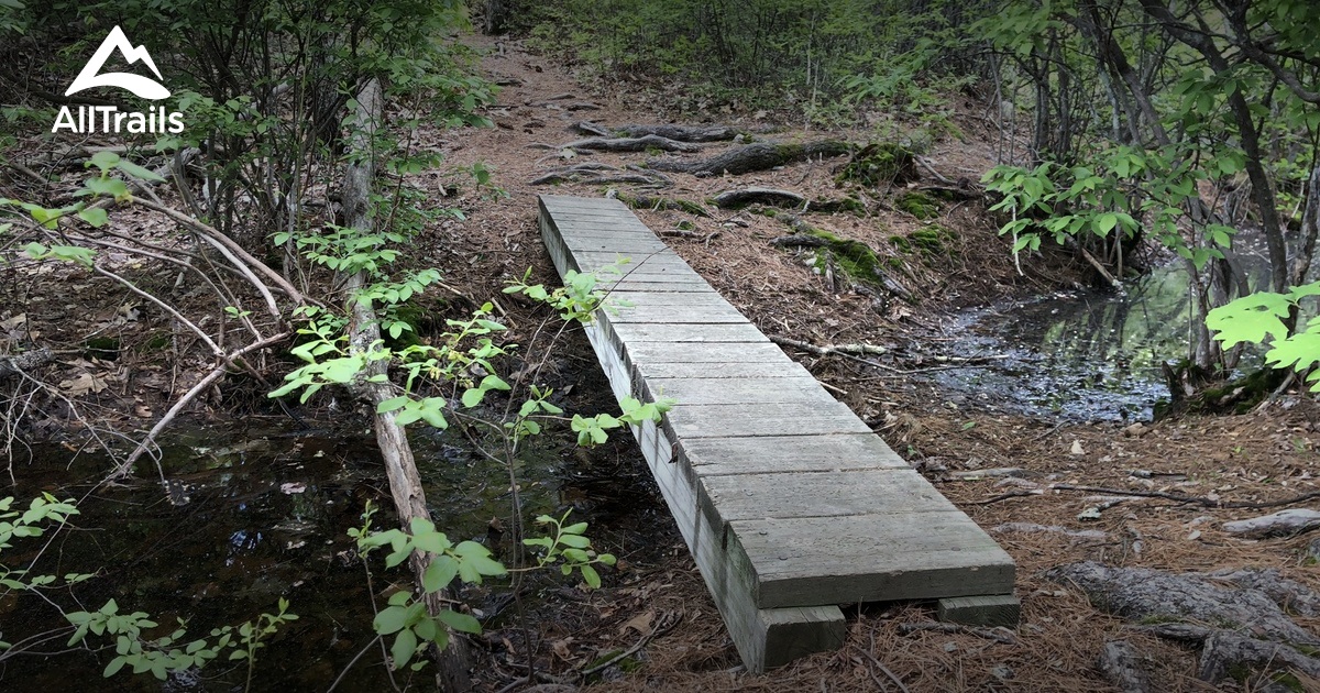 Best hikes and trails in Lee Town Forest | AllTrails