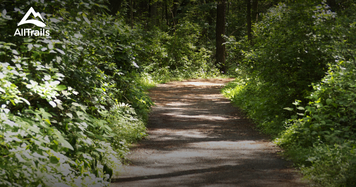 Best hikes and trails in Blueberry Hill | AllTrails