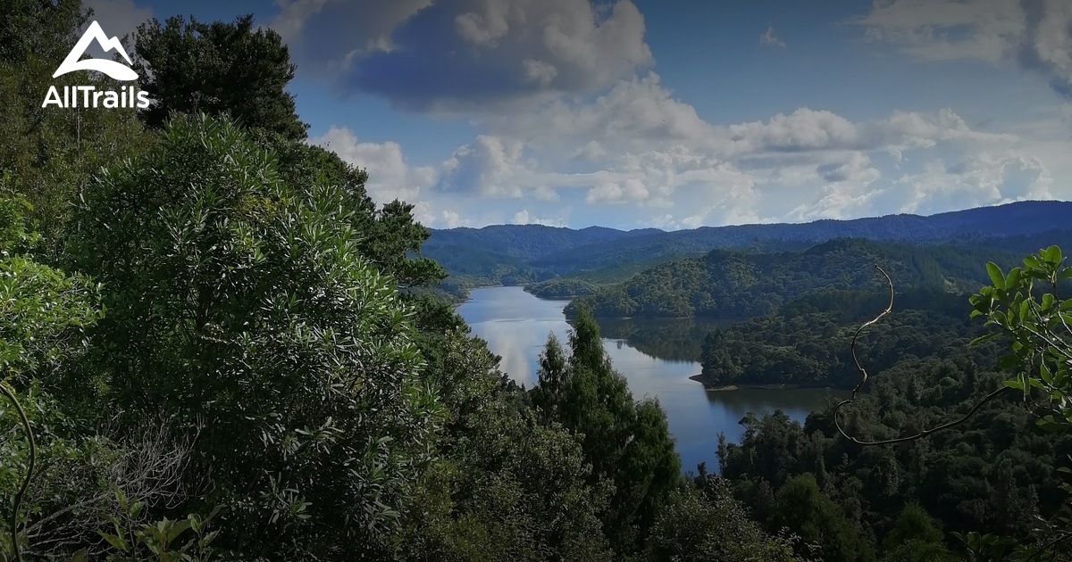 Best Trails in Hunua Ranges Regional Park - Waikato, New Zealand ...