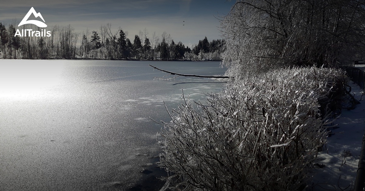 Best hikes and trails in Mill Lake Park | AllTrails
