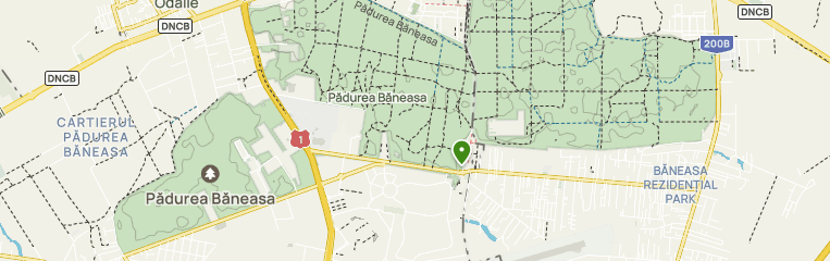 Best Hikes and Trails in Padurea Baneasa-Tunari | AllTrails