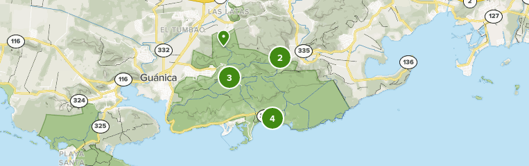 Best trails in Guanica State Forest, West Region, Puerto Rico | AllTrails