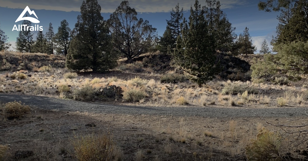 Best hikes and trails in Rock Ridge Park | AllTrails