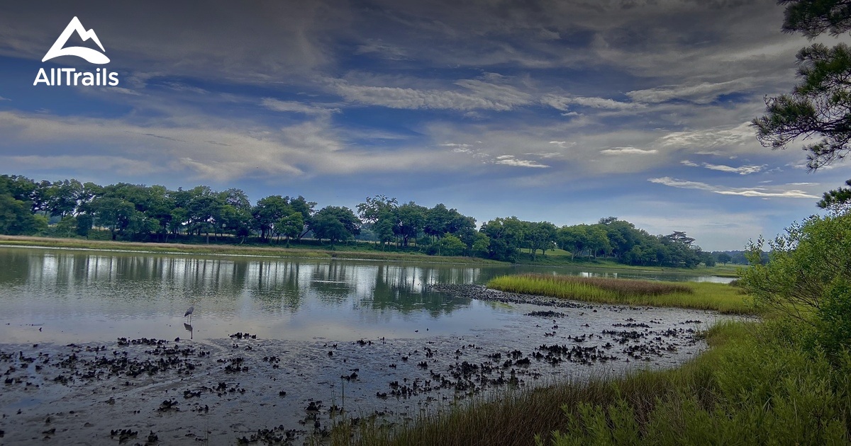 Best hikes and trails in Pleasure House Point Natural Area | AllTrails