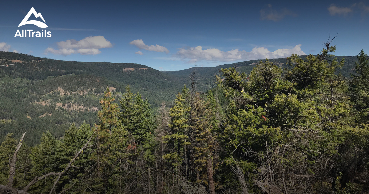 10 Best hikes and trails in Telemark Cross Country Ski Trails ...