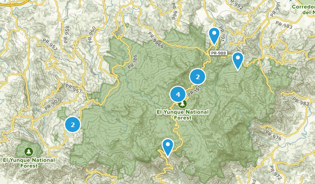 Best Trails in El Yunque National Forest - East Region, Puerto Rico ...